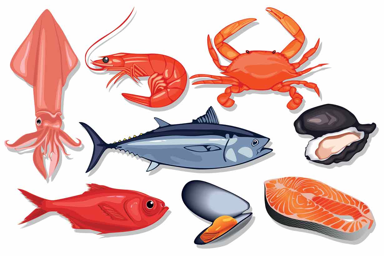 Why is fish healthier than shellfish?