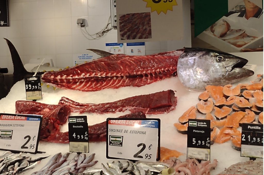 Why is fish so expensive UK?