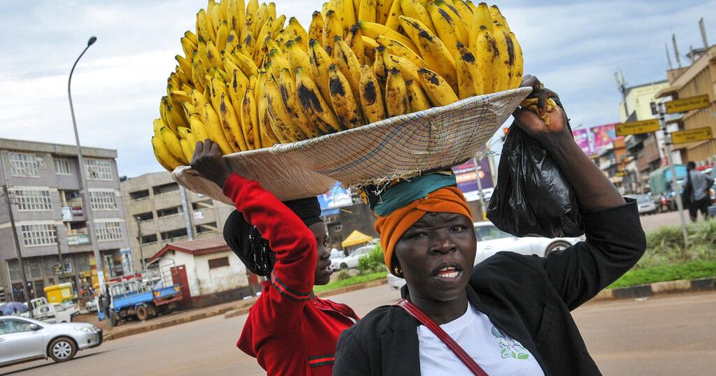 Why is food so expensive in Africa?