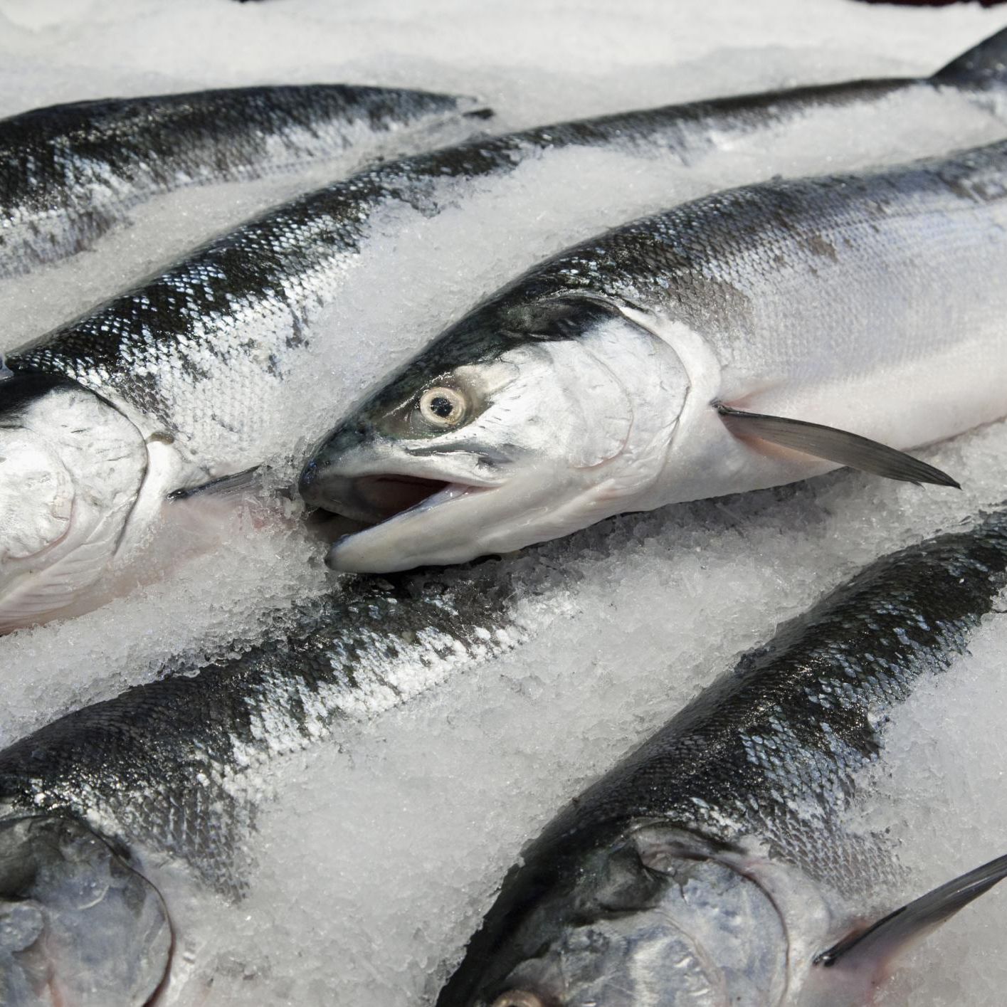 Why is frozen fish cheaper than fresh?