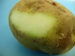 Why is it a good idea to remove all potato skin?