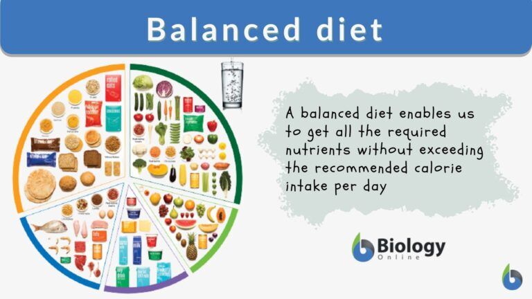 Why is it important to have a well rounded diet biology?