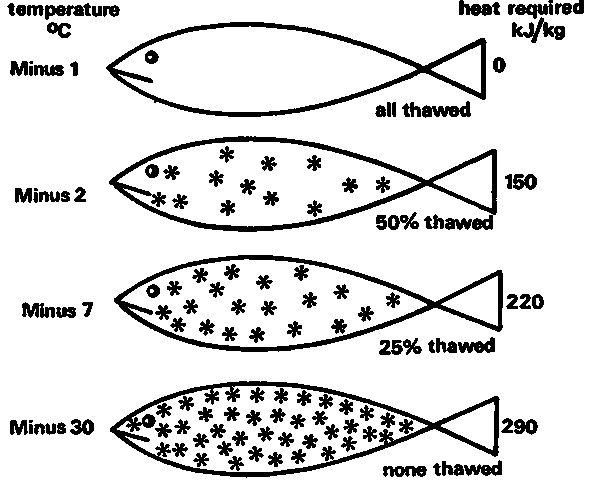 Why is it important to thaw seafood?