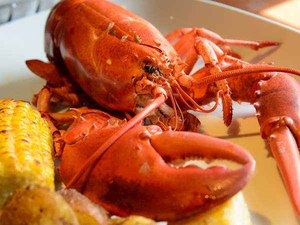 Why is Maine well known for lobster dishes?