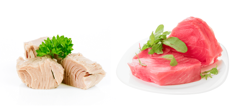 Why is my white tuna red?