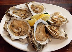 Why is oyster called oyster?