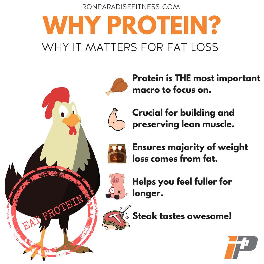 Why is protein important for weight loss?