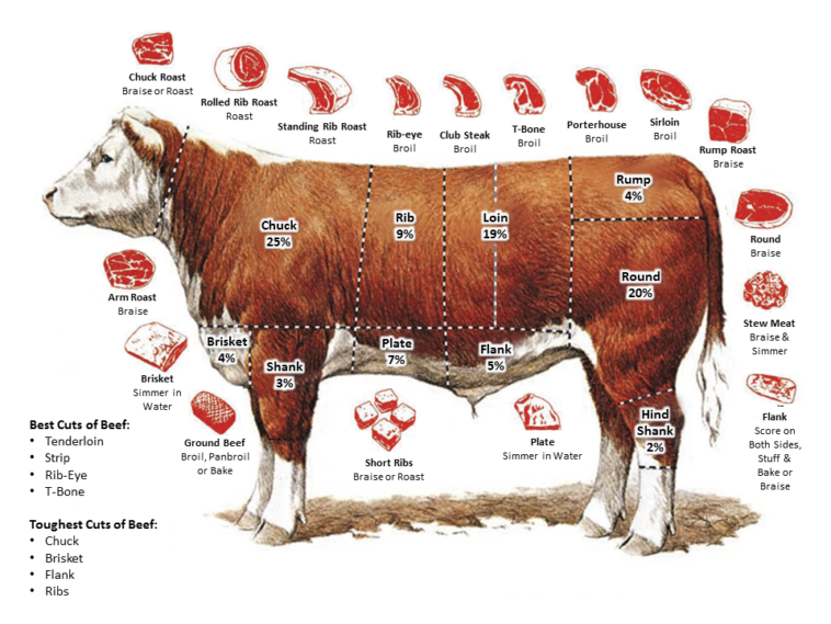 Why is ribeye steak the best cut of meat?