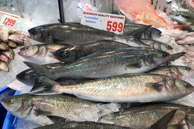 Why is seafood expensive in Australia?