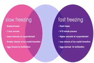 Why is slow freezing more effective than quick freezing?