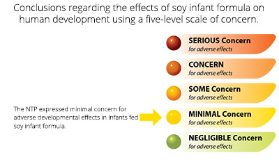 Why is soy based formula bad?