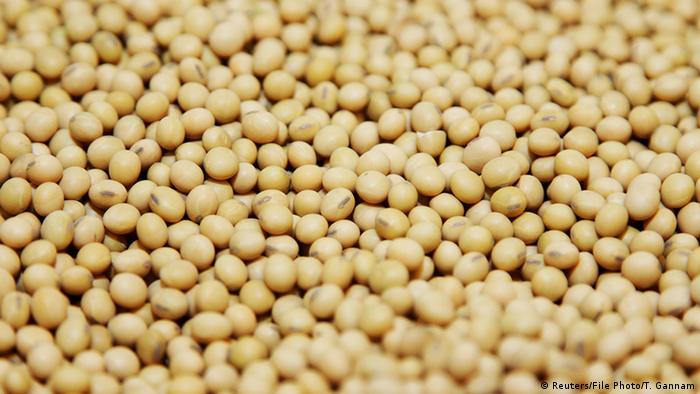 Why is soybeans a problem?