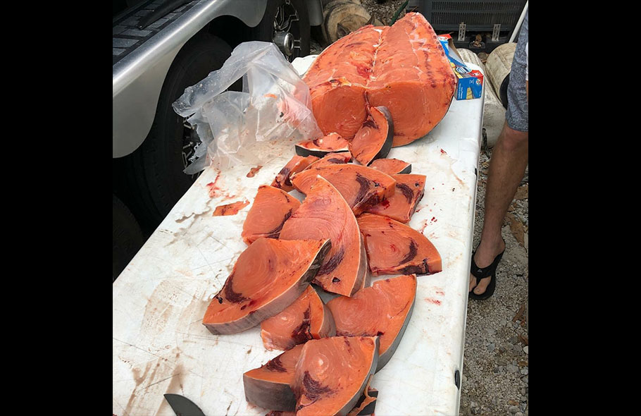 Why is swordfish meat orange?