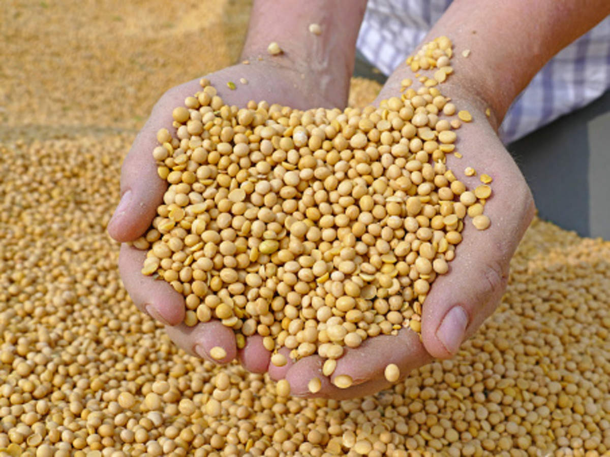 Why is the demand for soy so high?