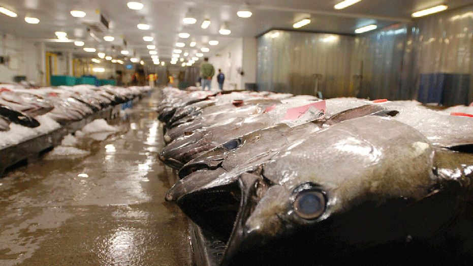 Why is the price of seafood rising?