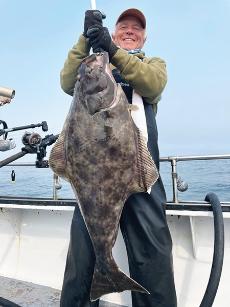 Why is there a shortage of halibut?