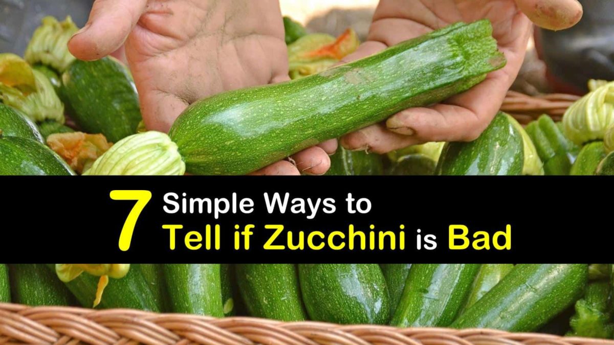 Why is zucchini so bad?