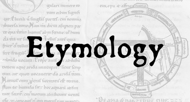 Why it is important to study etymology?