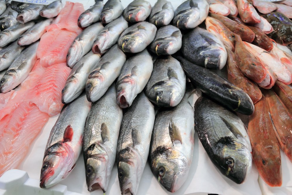 Why might you want to limit the amount of some fish that you eat?