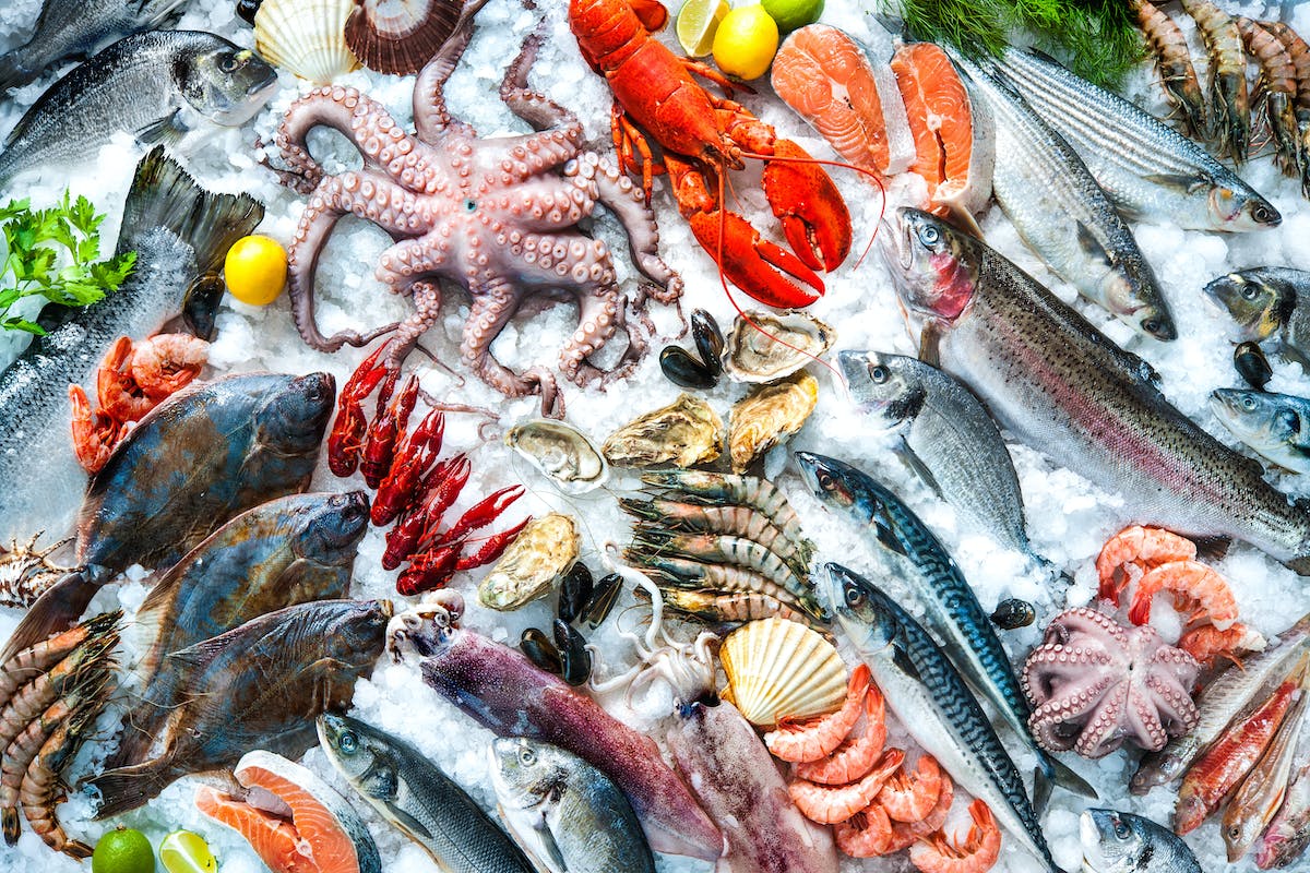 Why seafood is the best?