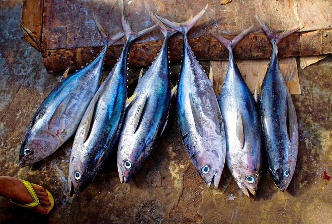 Why should we eat less fish?