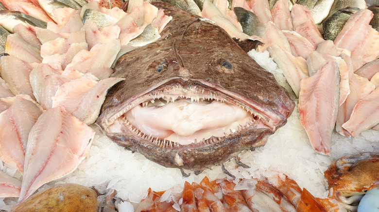 Why should you avoid eating monkfish?
