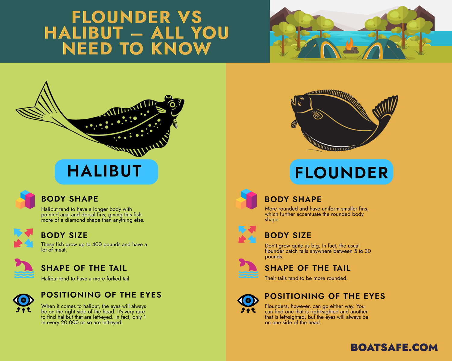 Why should you eat halibut and flounder?