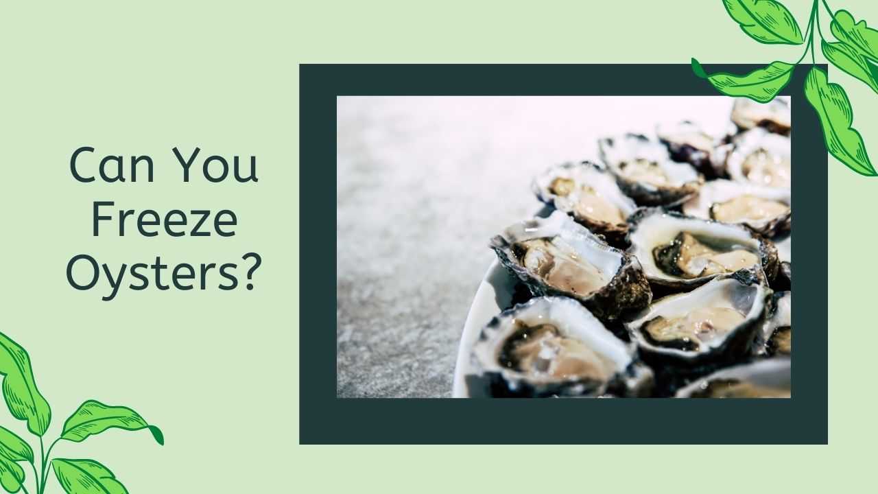 Why should you never freeze oysters?