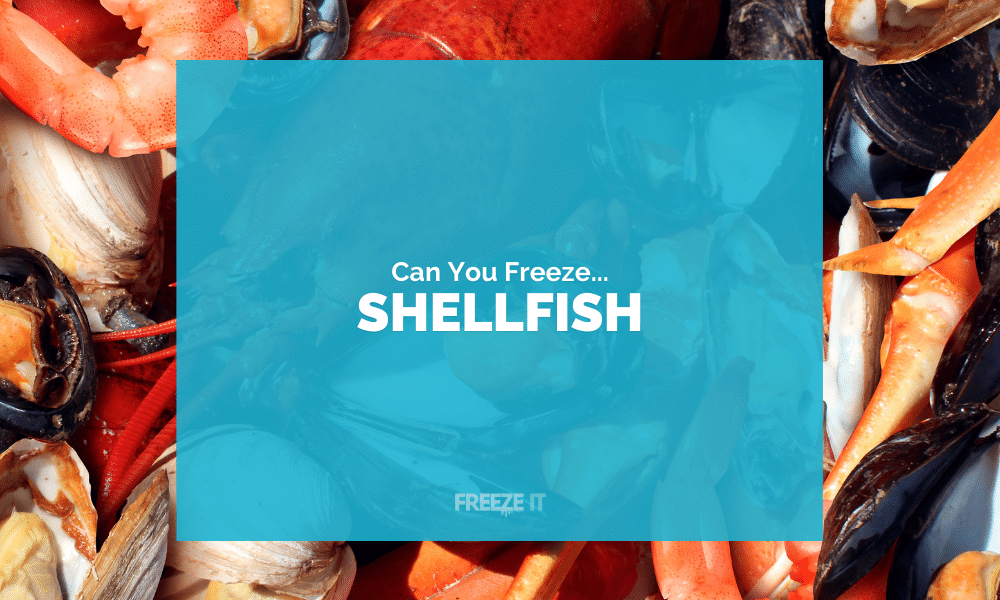 Why should you never freeze shellfish?