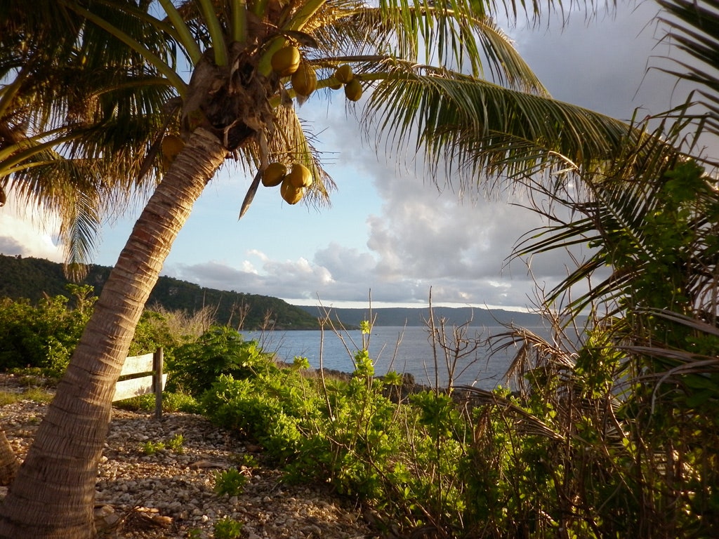 Why should you visit Christmas Island this summer?