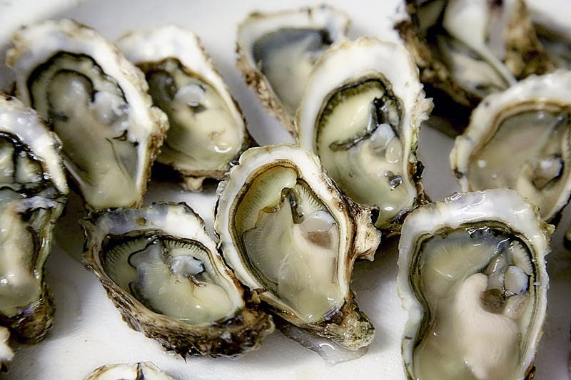 Why shouldn't diabetics eat raw oysters?