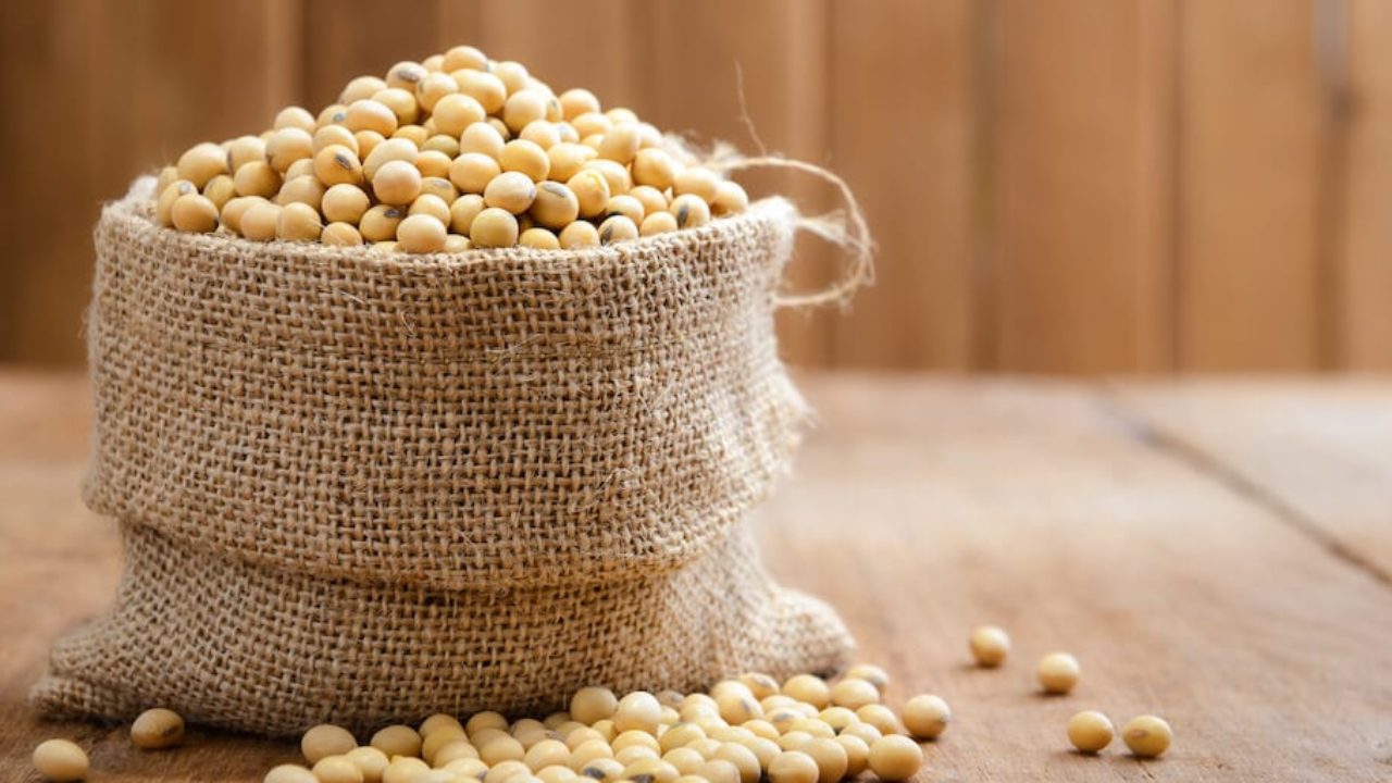 Why soy is important in a vegan diet?
