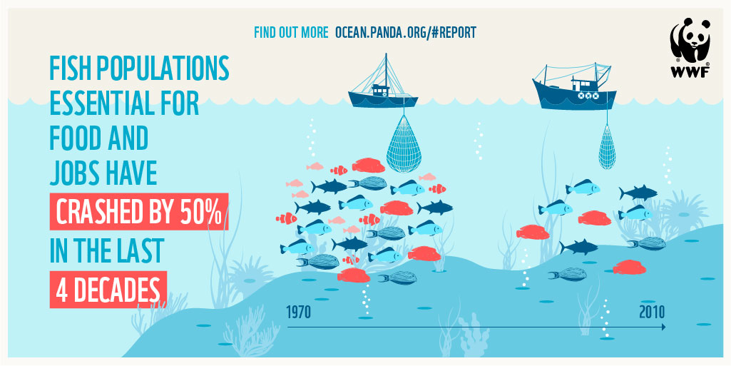 Why the population of fish is reduced?