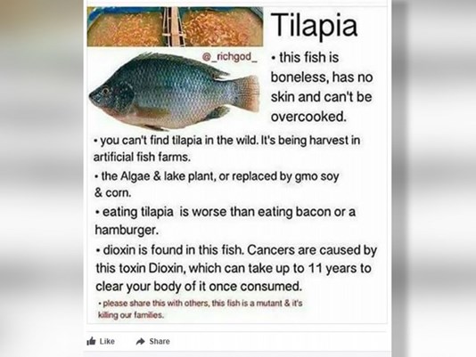Why tilapia is not good for you?