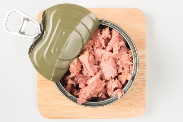 Why you shouldn't eat canned fish?
