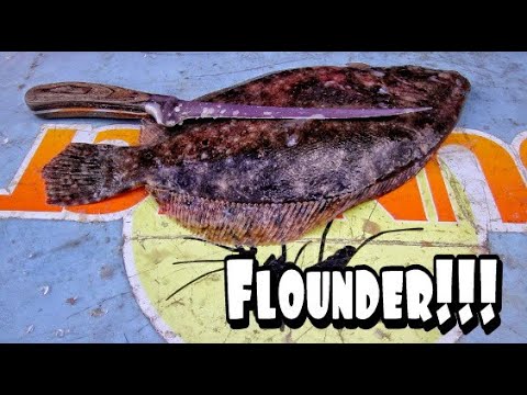 Why you shouldn't eat flounder?