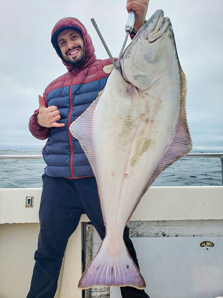 Will a halibut bite you?