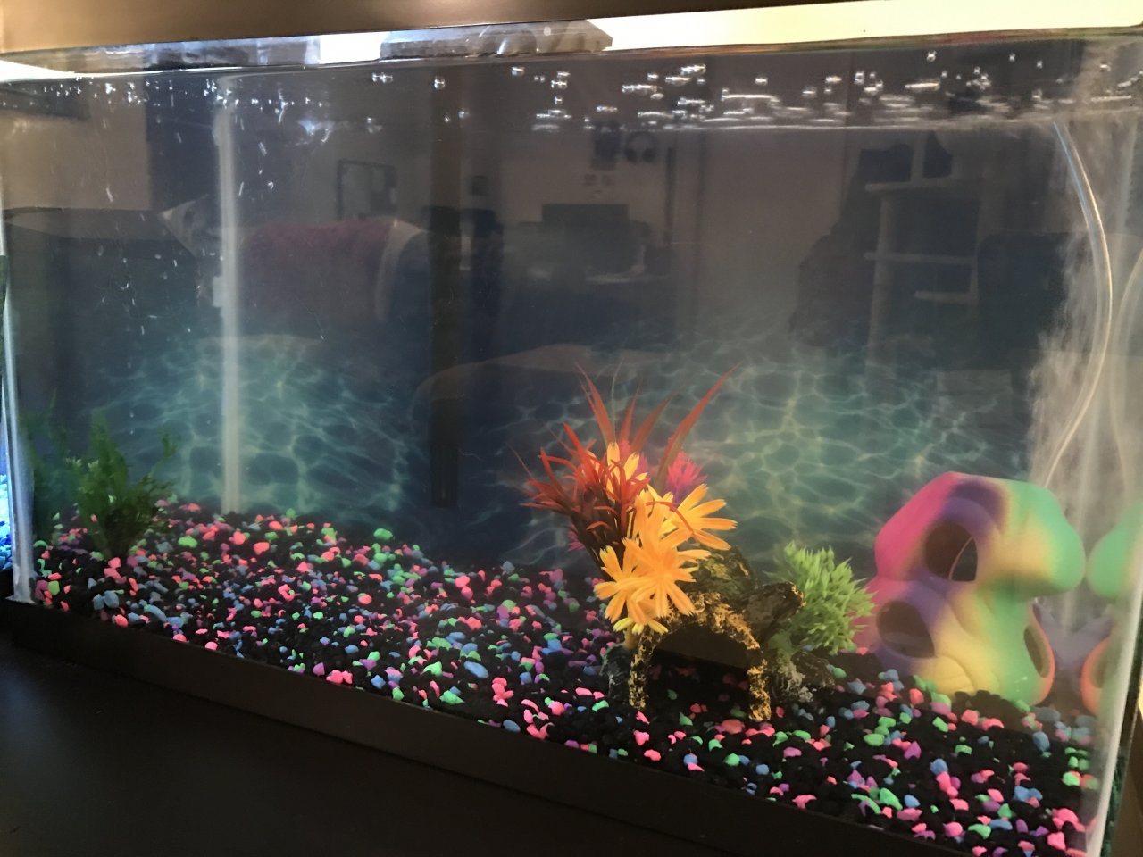 Will cloudy water hurt my fish?