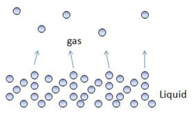 Will gas evaporate if you leave it out?