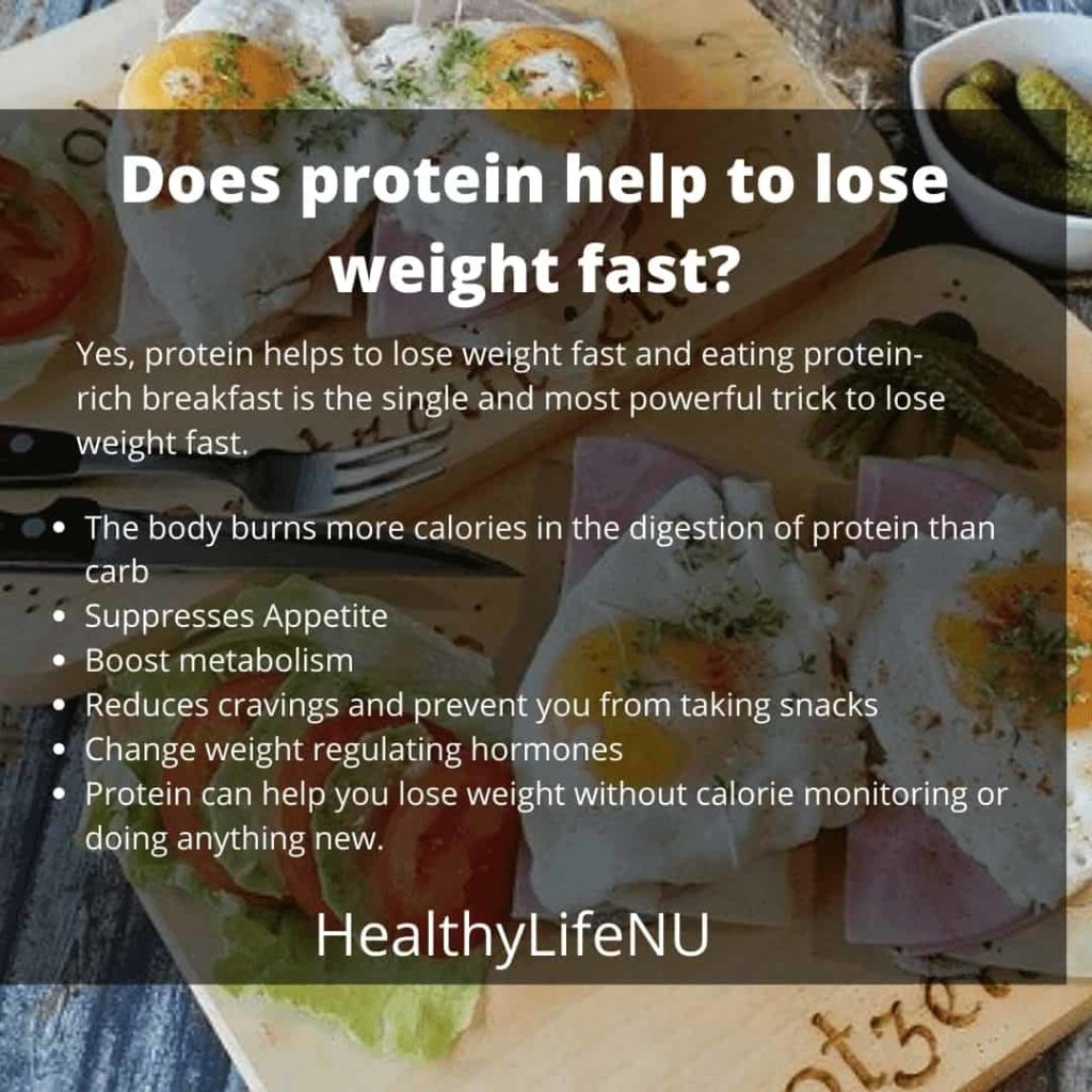 Will increasing protein help me lose weight?