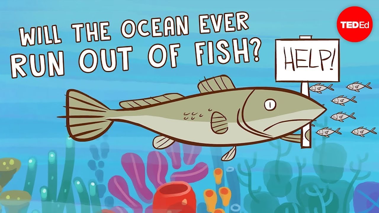 Will the ocean run out of fish?