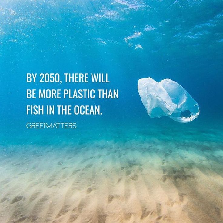 Will there be more plastic in the sea by 2050?