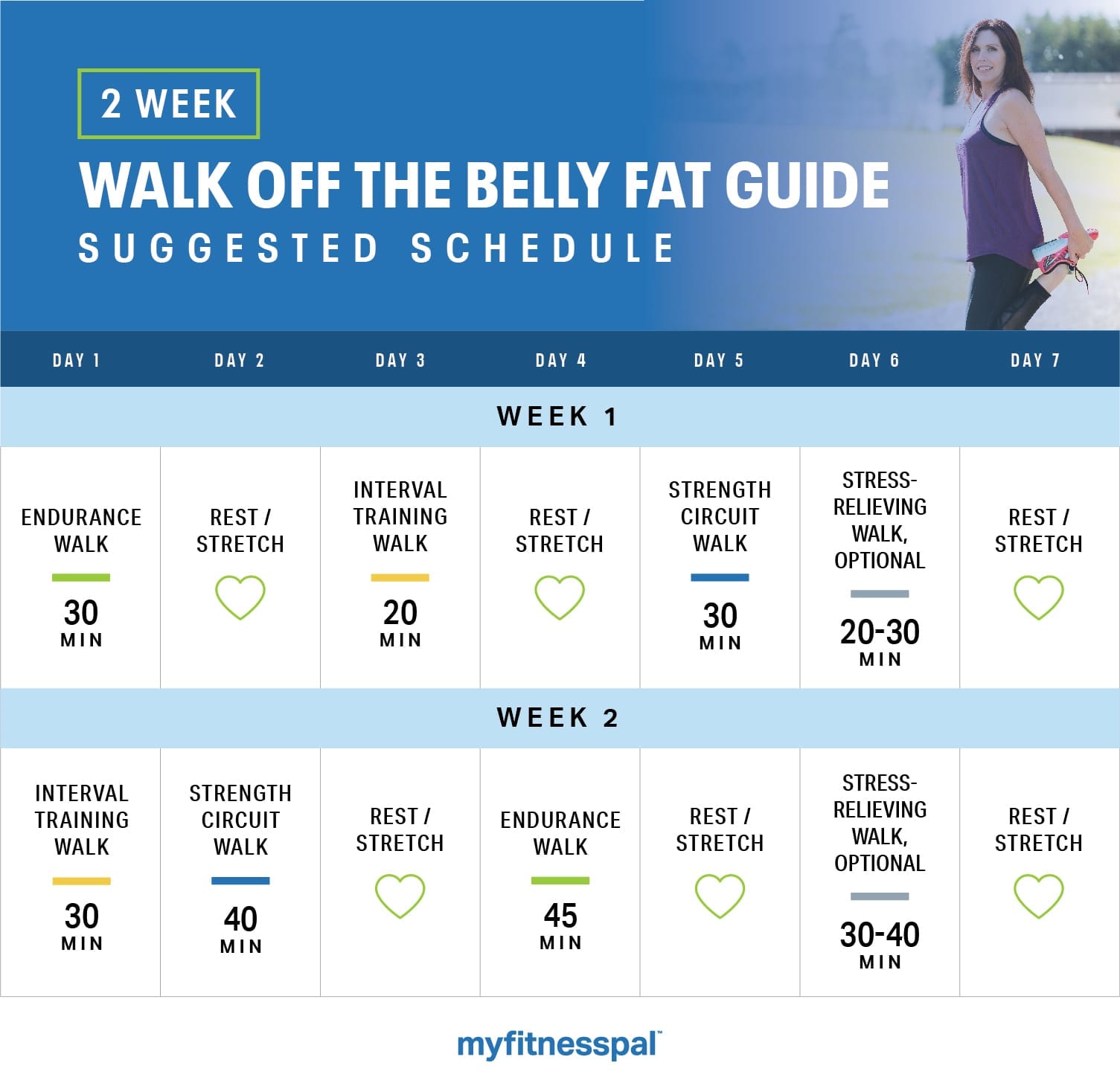 Will walking 2 miles a day help lose belly fat?